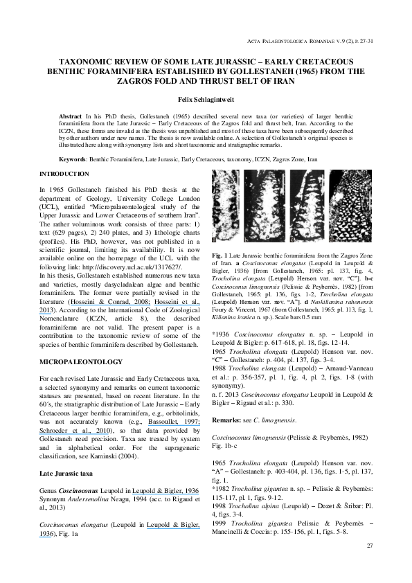(PDF) Taxonomic review of some Late Jurassic - Early Cretaceous benthic ...