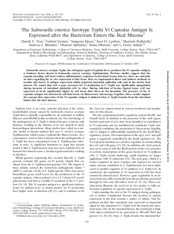 (PDF) The Salmonella enterica Serotype Typhi Vi Capsular Antigen Is ...