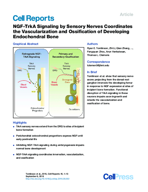 (PDF) NGF-TrkA Signaling by Sensory Nerves Coordinates the ...