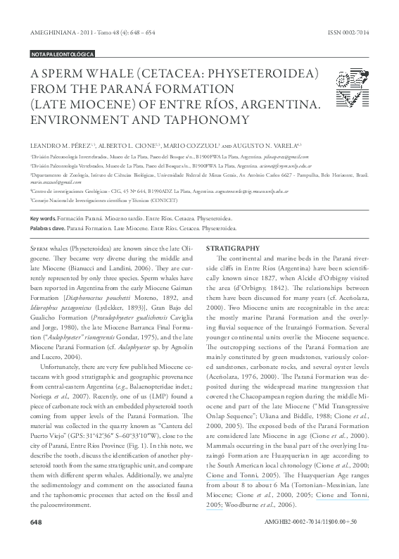 (PDF) A Sperm Whale (Cetacea: Physeteroidea) from the Paraná Formation ...