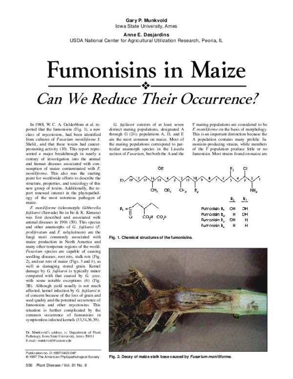 (PDF) Fumonisins in Maize: Can We Reduce Their Occurrence