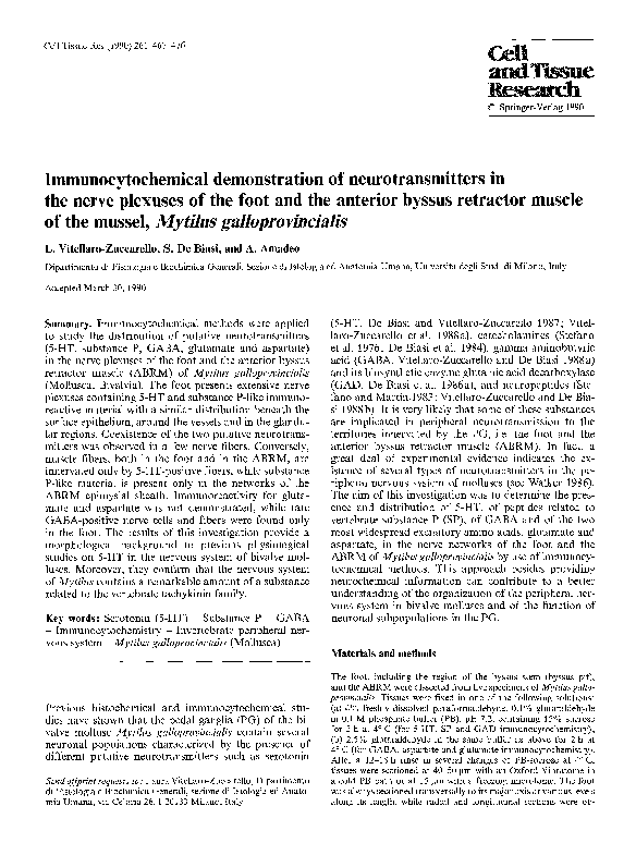 (PDF) Immunocytochemical demonstration of neurotransmitters in the ...