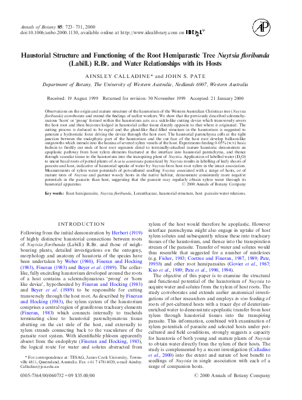 (PDF) Haustorial Structure and Functioning of the Root Hemiparastic ...