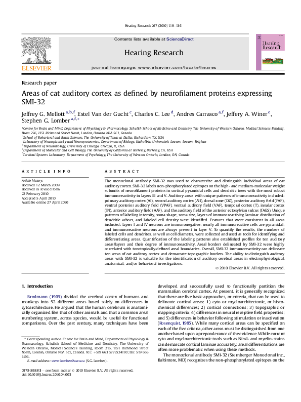 (PDF) Areas of cat auditory cortex as defined by neurofilament proteins ...