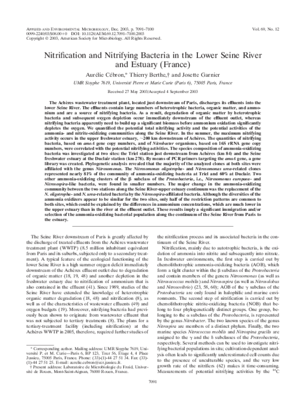 (PDF) Nitrification and Nitrifying Bacteria in the Lower Seine River ...