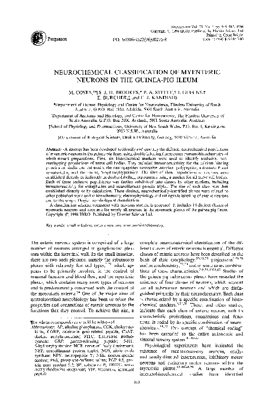 (PDF) Neurochemical classification of myenteric neurons in the guinea ...