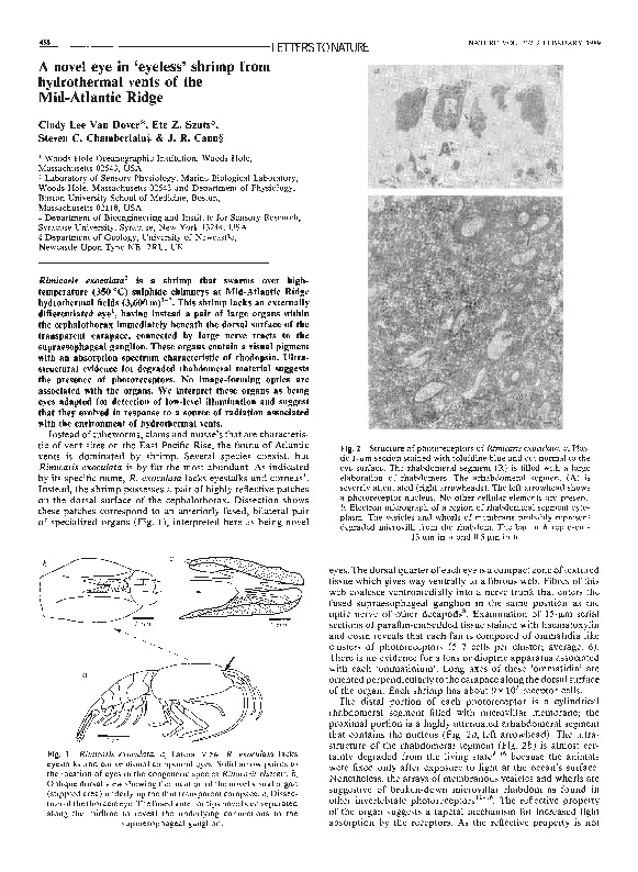 (PDF) A novel eye in 'eyeless' shrimp from hydrothermal vents of the ...