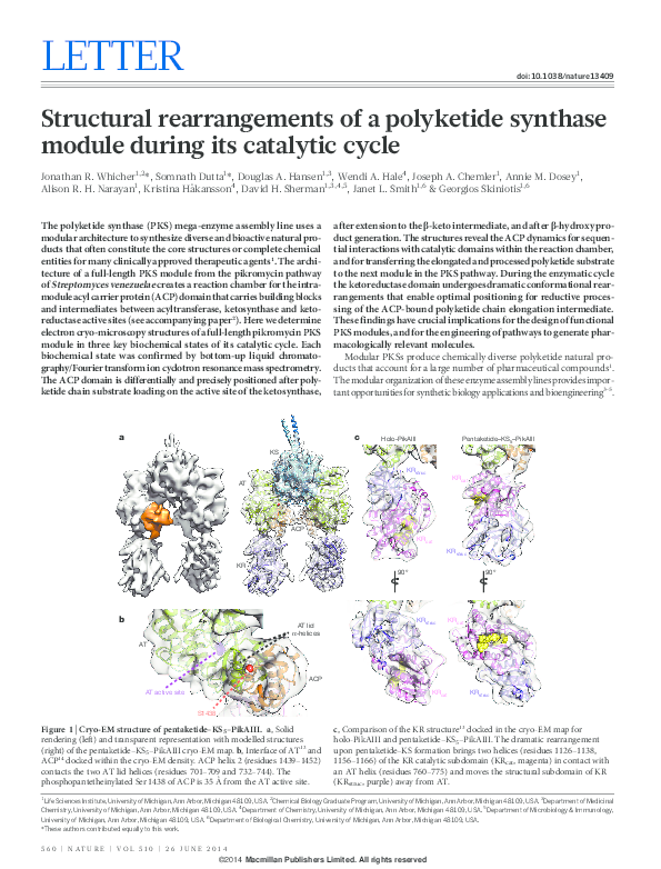 Pdf Structural Rearrangements Of A Polyketide Synthase Module During