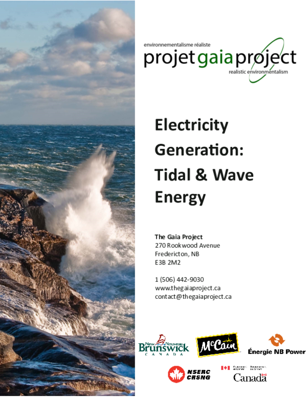 (PDF) Electricity Generation: Tidal & Wave Energy