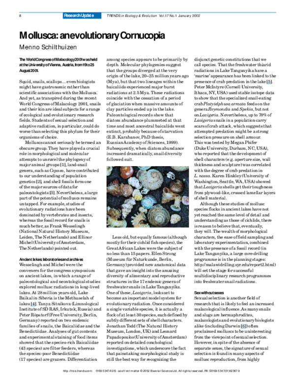 (PDF) Mollusca: an evolutionary Cornucopia