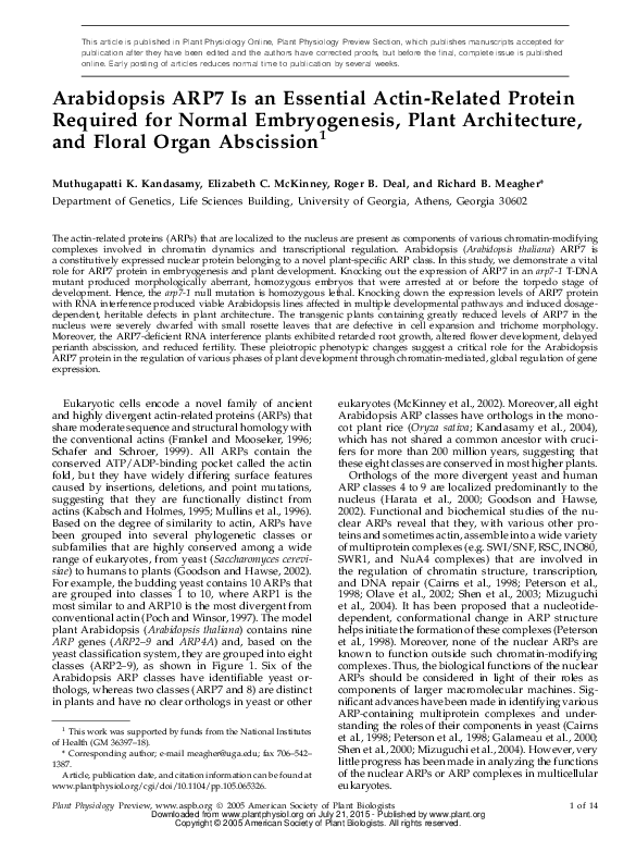 (PDF) Arabidopsis ARP7 Is an Essential Actin-Related Protein Required ...