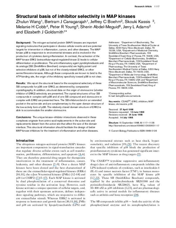 (PDF) Structural basis of inhibitor selectivity in MAP kinases