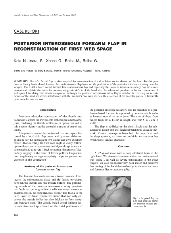 (PDF) Posterior interosseous forearm flap in reconstruction of first ...
