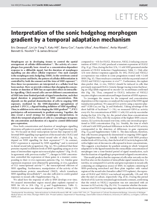 (PDF) Interpretation of the sonic hedgehog morphogen gradient by a ...