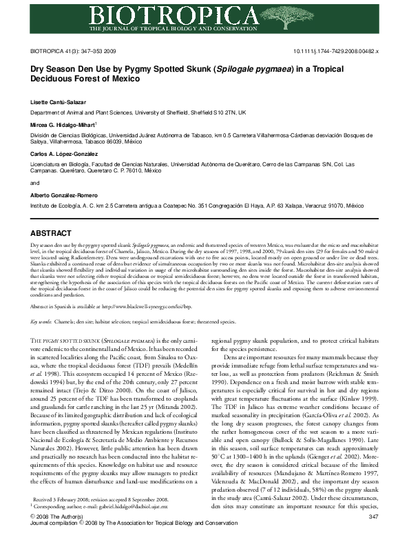 (PDF) Dry Season Den Use by Pygmy Spotted Skunk ( Spilogale pygmaea ...