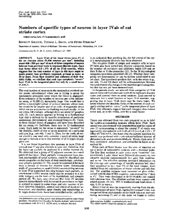 (PDF) Numbers of Specific Types of Neuron in Layer IVab of Cat Striate Cortex | Peter Sterling ...