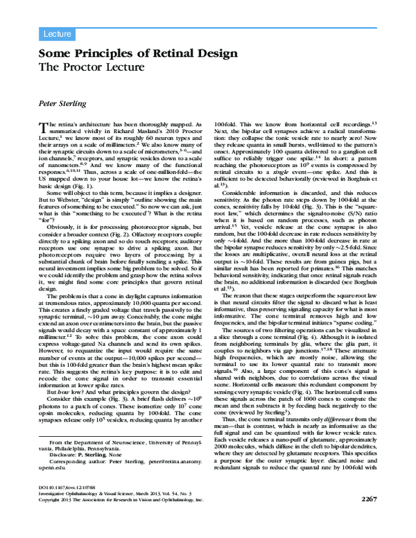 (PDF) Some Principles of Retinal Design: The Proctor Lecture
