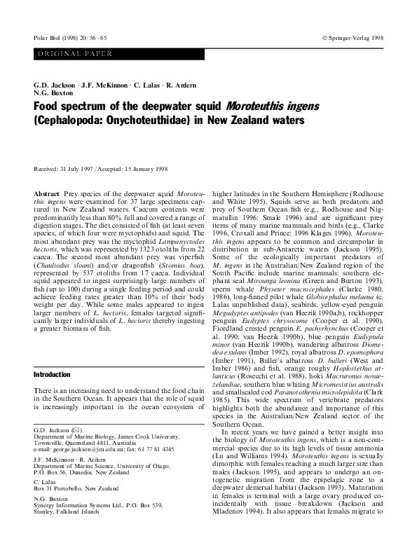 (PDF) Distribution and abundance of the squid Moroteuthis ingens ...