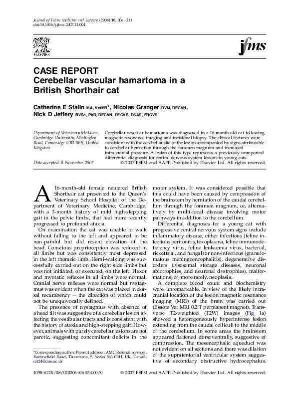 (PDF) Cerebellar vascular hamartoma in a British Shorthair cat