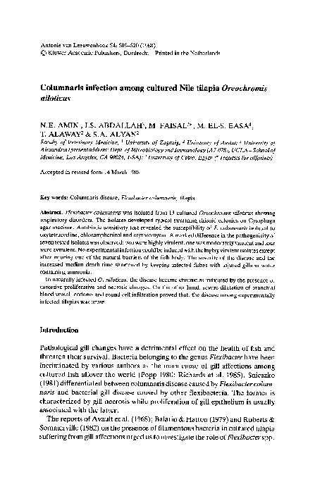(PDF) Columnaris infection among cultured Nile tilapia Oreochromis ...