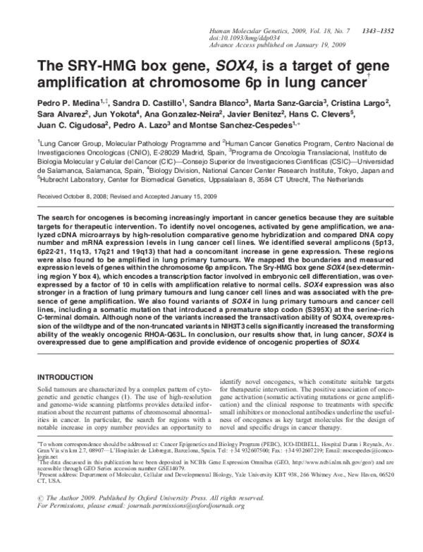 (PDF) The SRY-HMG box gene, SOX4, is a target of gene amplification at chromosome 6p in lung cancer
