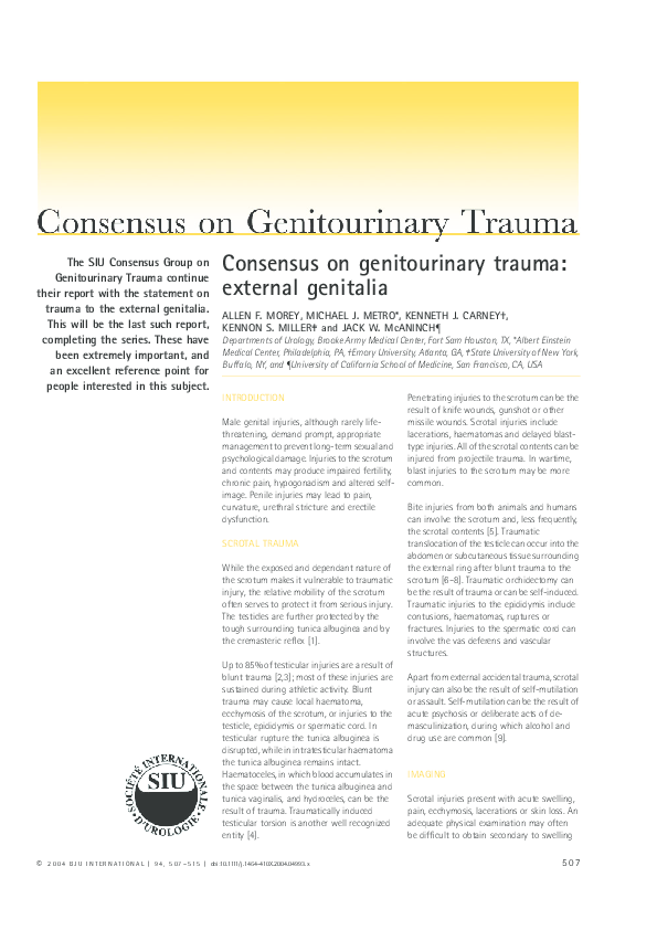 (PDF) Consensus on genitourinary trauma: external genitalia