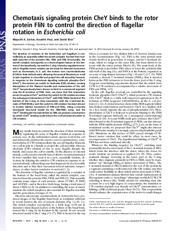 (PDF) Chemotaxis signaling protein CheY binds to the rotor protein FliN to control the direction ...