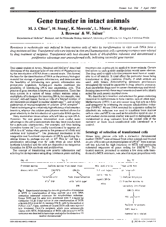 (PDF) Gene transfer in intact animals
