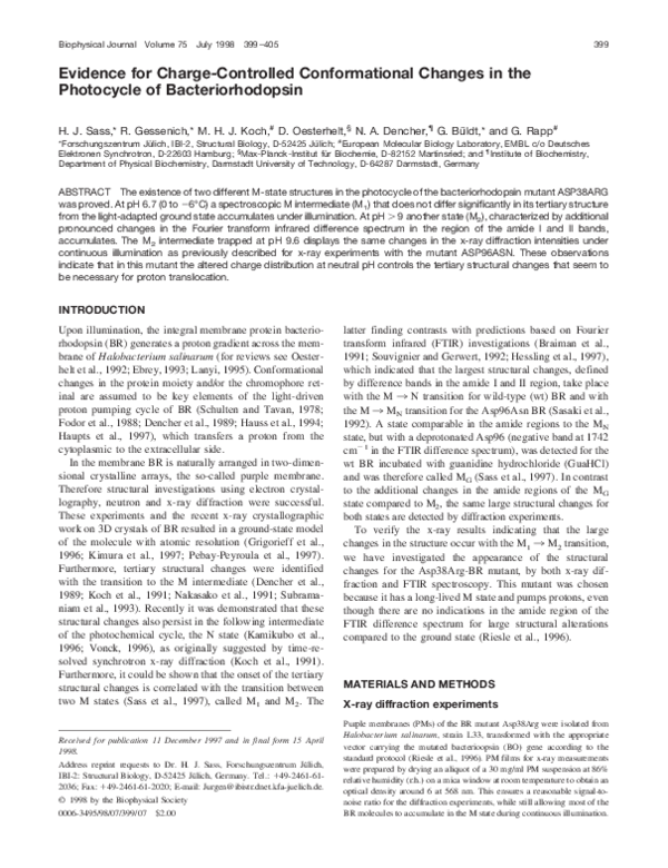 (PDF) Evidence for Charge-Controlled Conformational Changes in the Photocycle of Bacteriorhodopsin