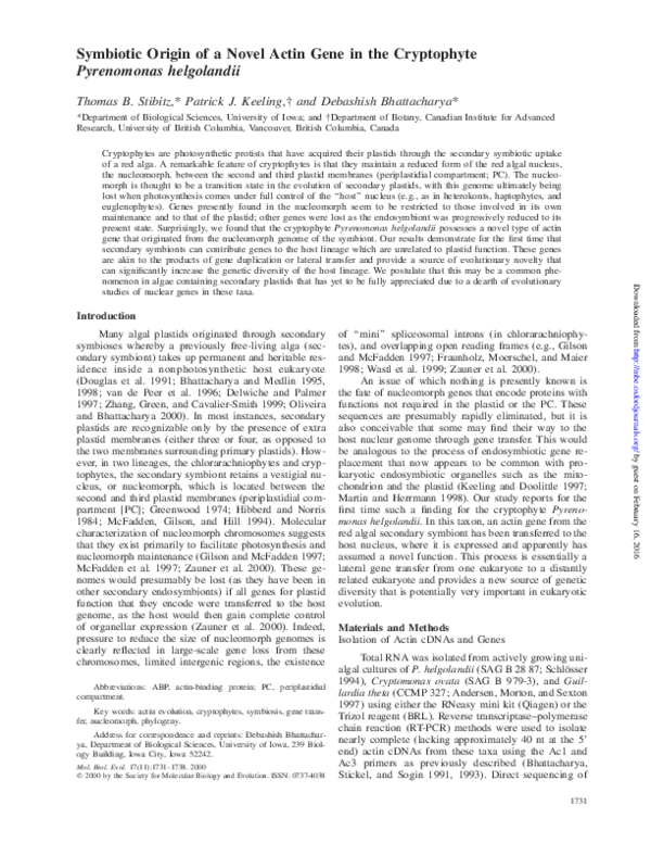 (PDF) Symbiotic Origin of a Novel Actin Gene in the Cryptophyte ...