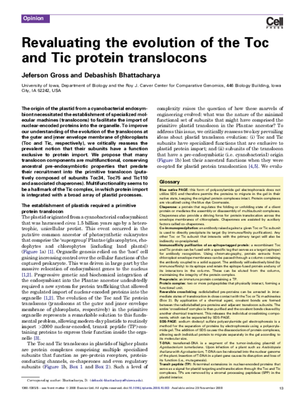 (PDF) Revaluating the evolution of the Toc and Tic protein translocons