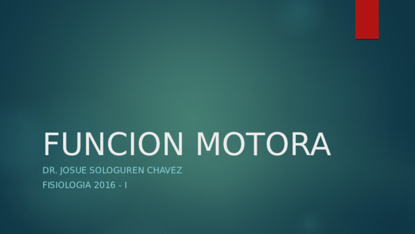 (PPT) FUNCION MOTORA