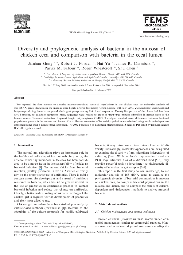 (PDF) Diversity and phylogenetic analysis of bacteria in the mucosa of ...