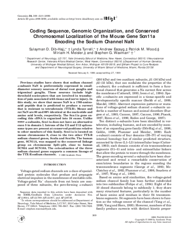 (PDF) Coding Sequence, Genomic Organization, and Conserved Chromosomal ...