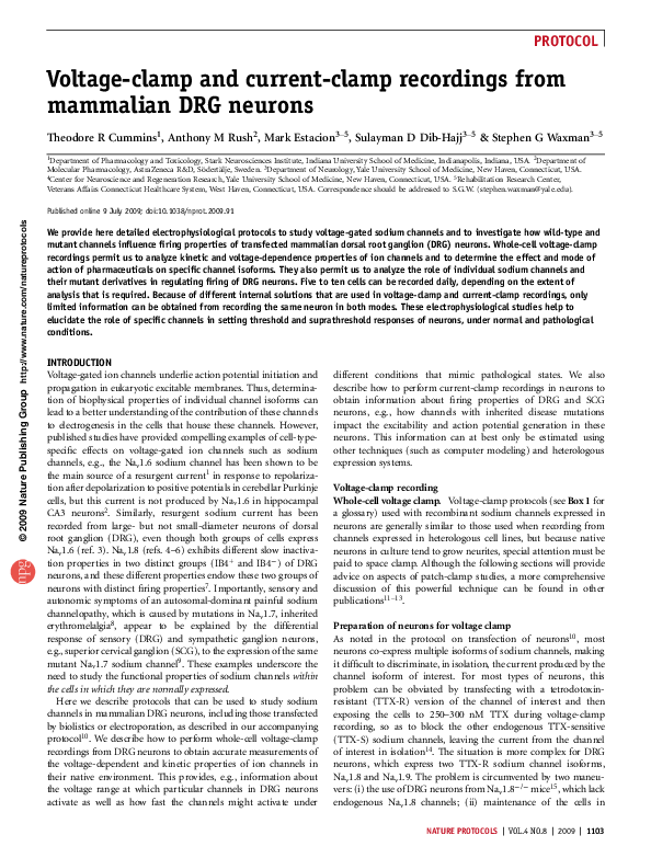 (PDF) Voltage-clamp and current-clamp recordings from mammalian DRG neurons