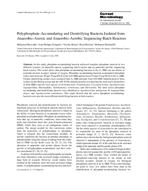 (PDF) Polyphosphate-Accumulating and Denitrifying Bacteria Isolated ...