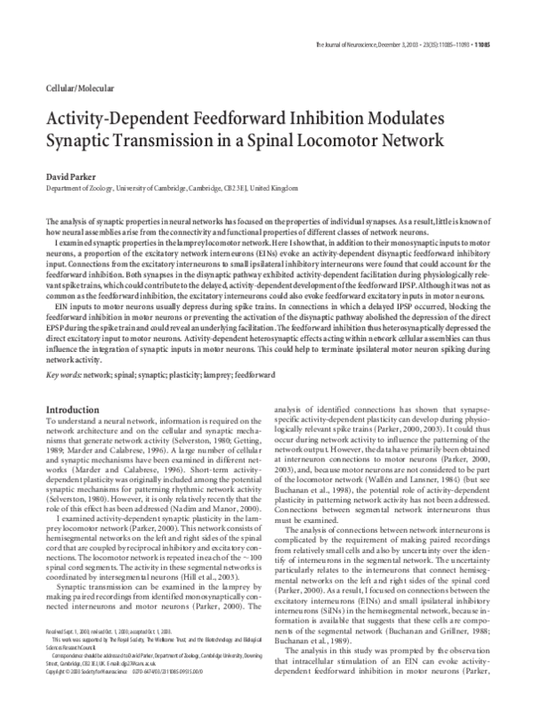 (PDF) Activity-Dependent Feedforward Inhibition Modulates Synaptic ...