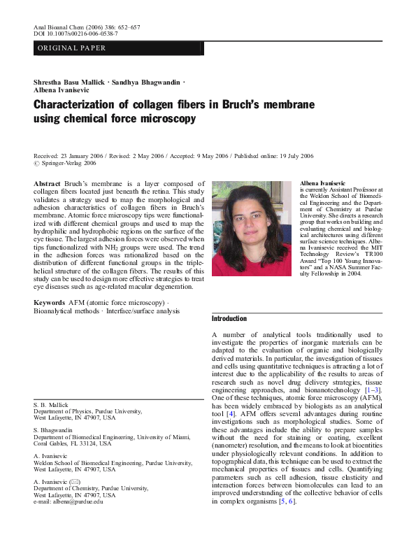 (PDF) Characterization of collagen fibers in Bruch’s membrane using ...