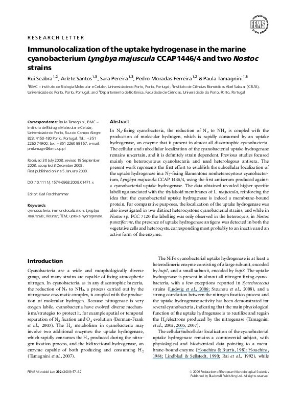 (PDF) Immunolocalization of the uptake hydrogenase in the marine ...