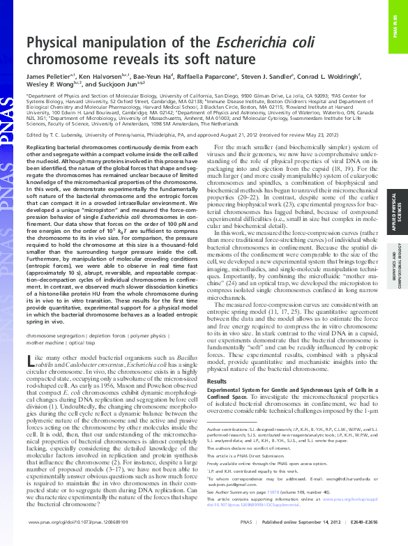 (PDF) Physical manipulation of the Escherichia coli chromosome reveals ...