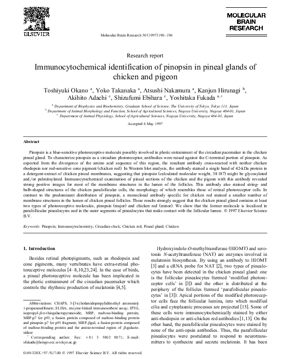 (PDF) Immunocytochemical identification of pinopsin in pineal glands of ...