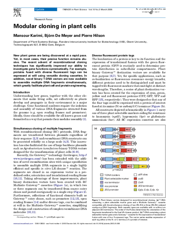 (PDF) Modular cloning in plant cells