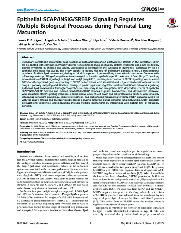 (PDF) Epithelial SCAP/INSIG/SREBP signaling regulates multiple ...