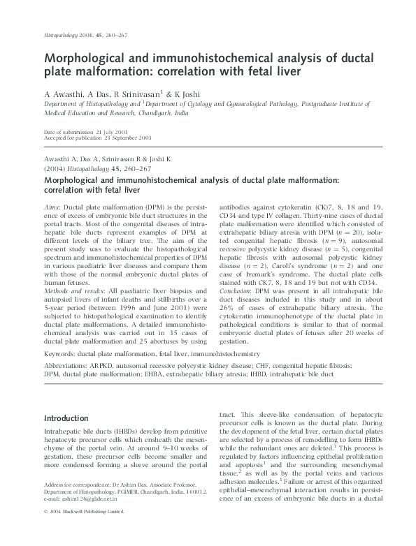 (PDF) Morphological and immunohistochemical analysis of ductal plate ...