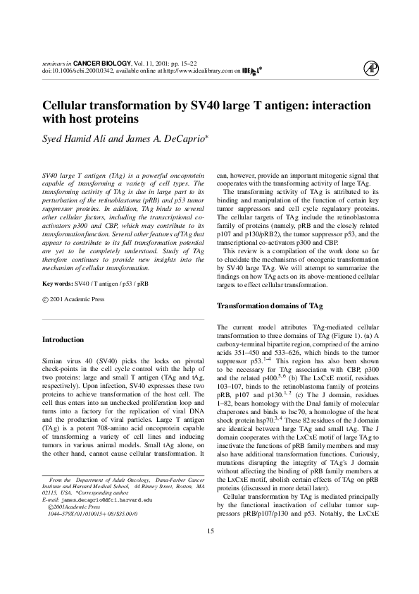 (PDF) Cellular transformation by SV40 large T antigen: interaction with ...