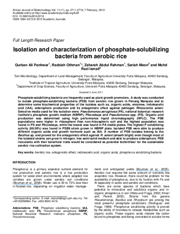 (PDF) Isolation and characterization of phosphate solubilizing bacteria from the rhizosphere of ...