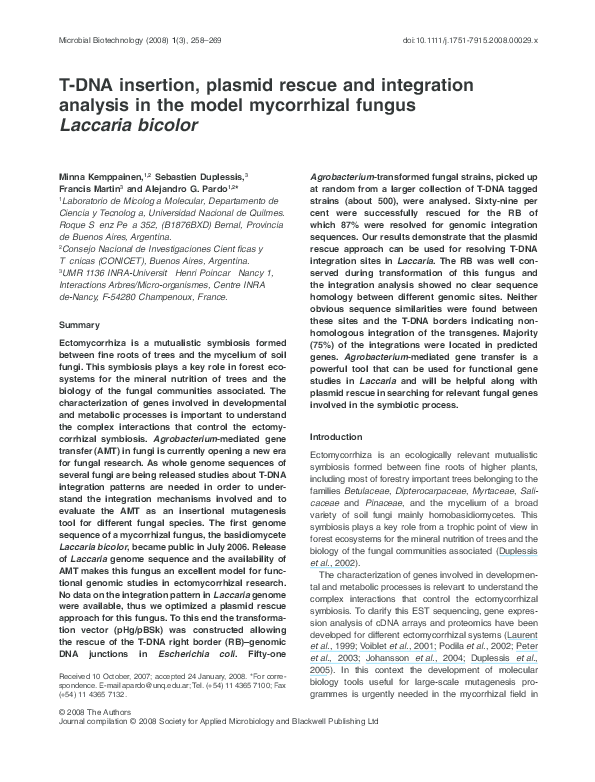 (PDF) T-DNA insertion, plasmid rescue and integration analysis in the ...