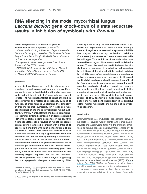 (PDF) T-DNA insertion, plasmid rescue and integration analysis in the ...