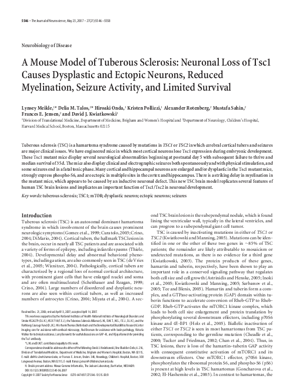 (PDF) A Mouse Model of Tuberous Sclerosis: Neuronal Loss of Tsc1 Causes ...