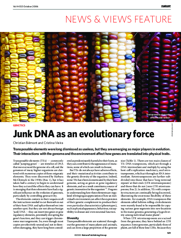 (PDF) Genetics: Junk DNA as an evolutionary force